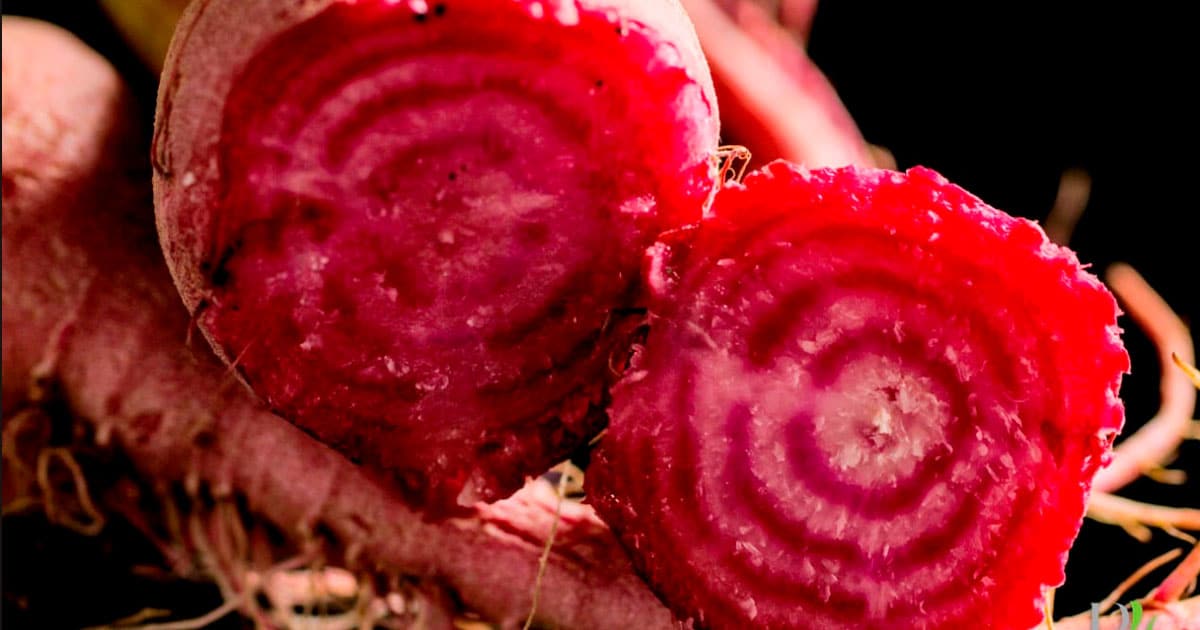Proyecto 4 | Betabel candy baby | Vegetales Babys
