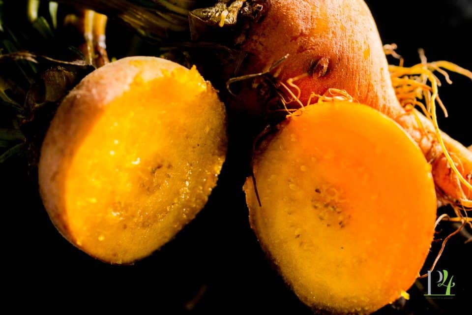 Vegetales babys gourmets Archivos - Proyecto Cuatro